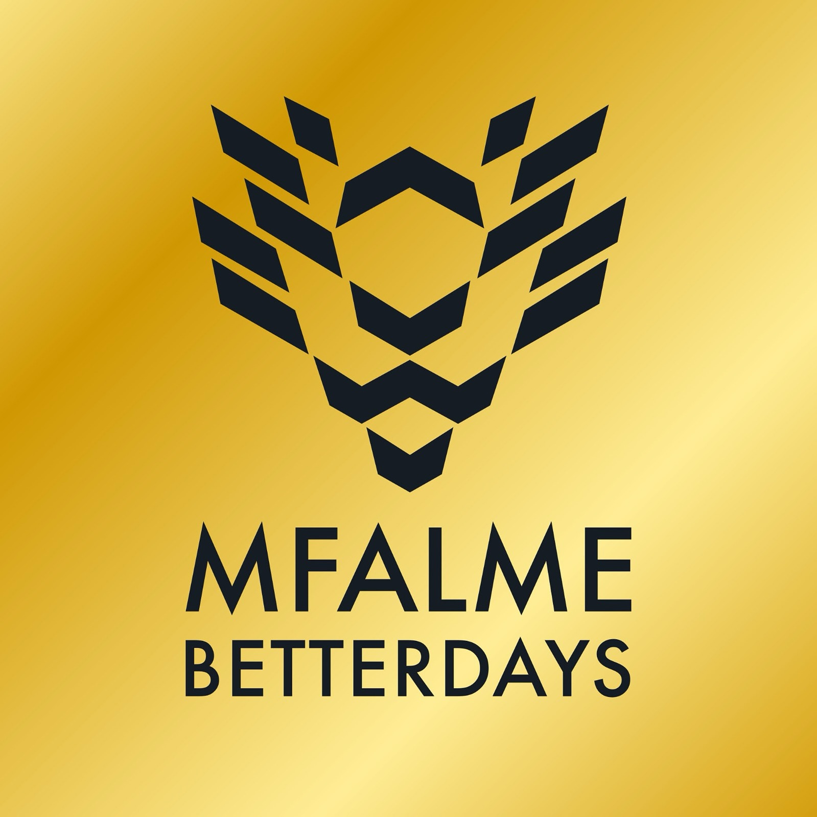 Mfalme Betterdays Capital